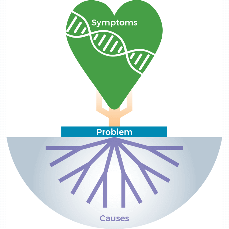 DCM Foundation - Home